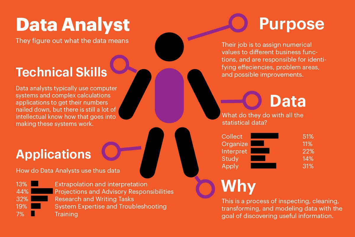 What Does A Business Analyst Do Businesser